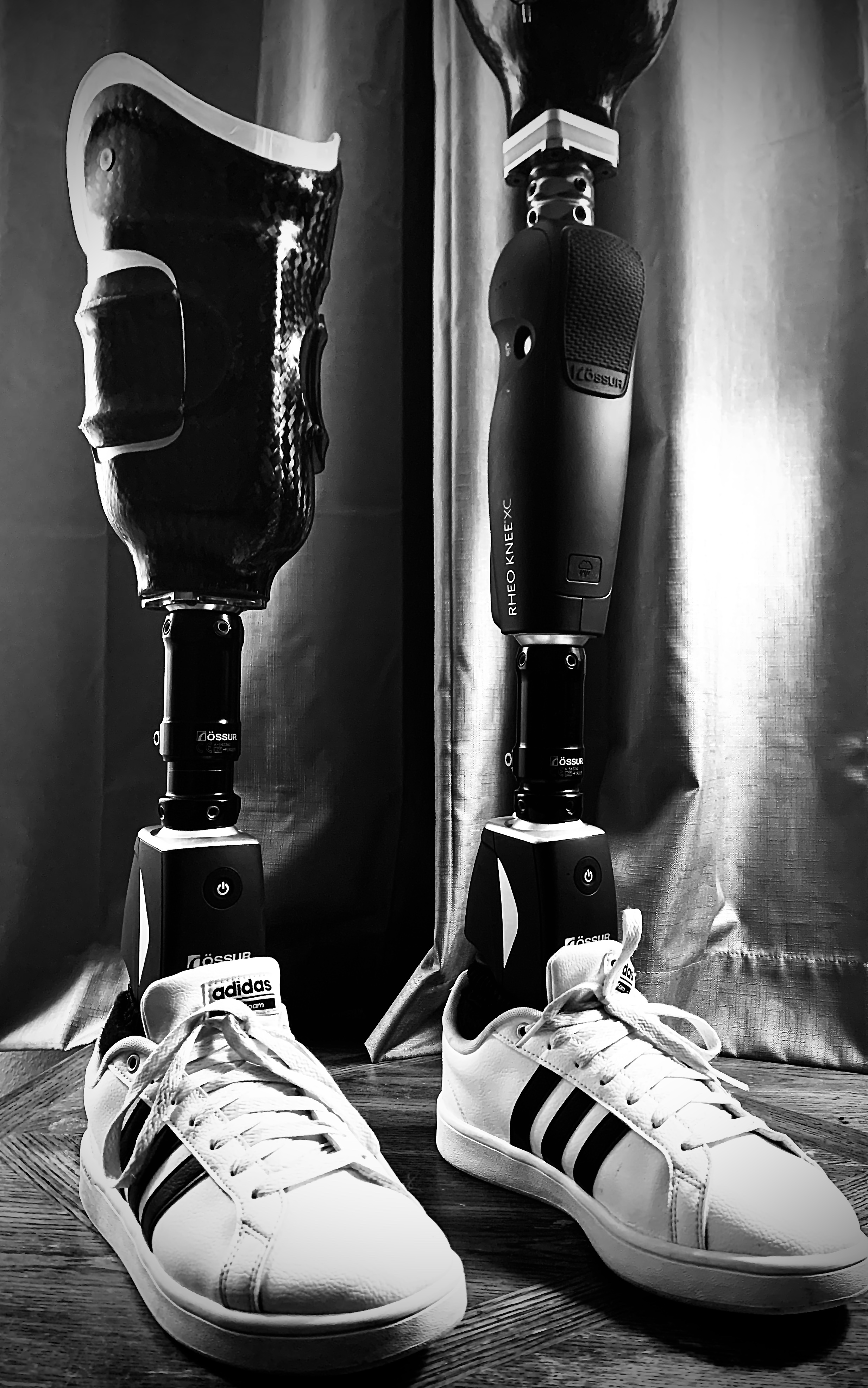 Bionics and Prosthetics | Inspired Balance